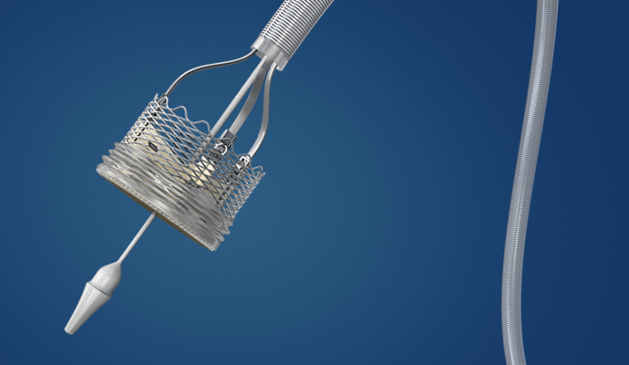 Frequently Asked Questions : Treat the Heart